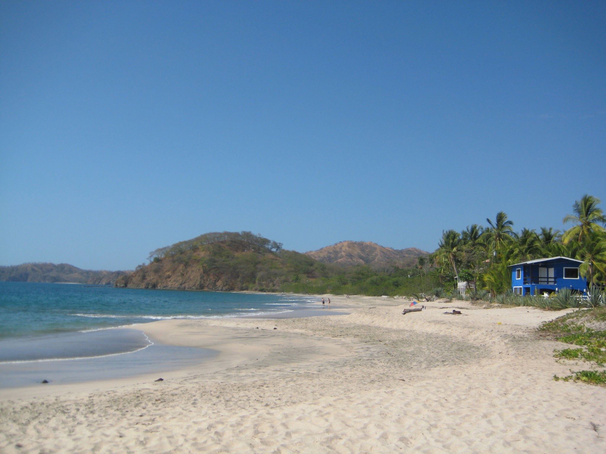 Gracias, 2020. – Costa Rica Symbiosis